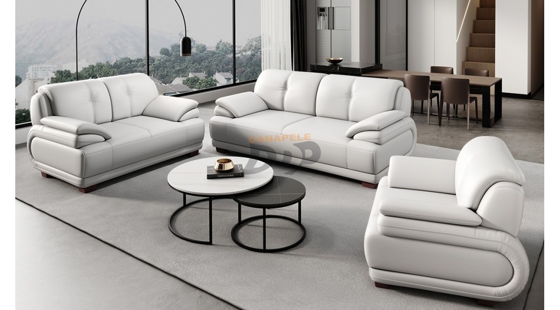 set-canapele-moderne-piele-naturala-model-Astoria